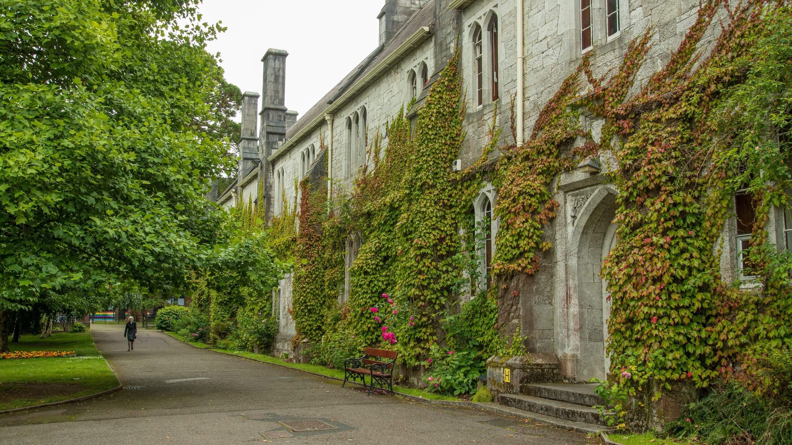 Master’s in Analytical Chemistry at University College Cork - Global ...